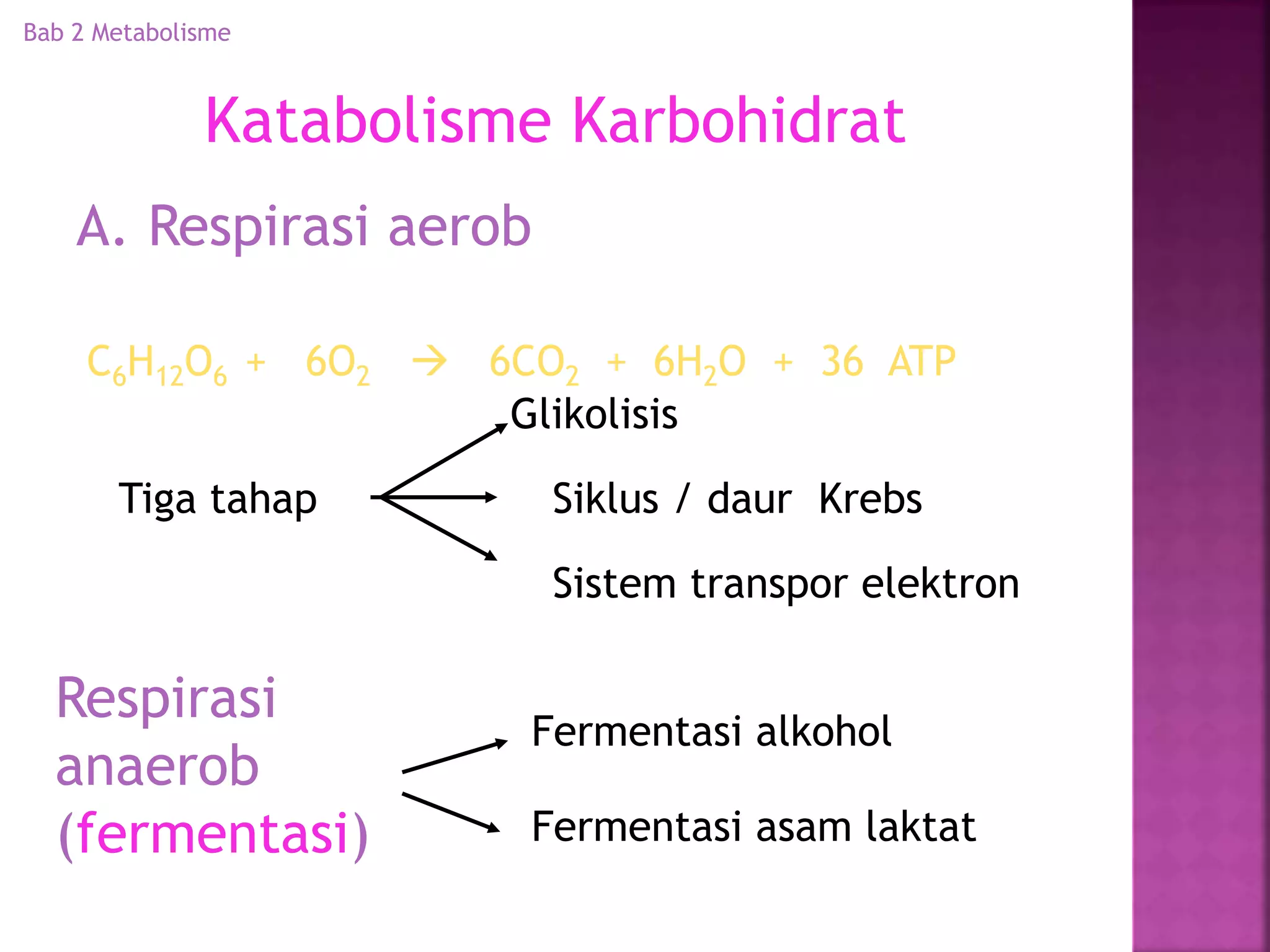 METABOLISME SEL.pptx