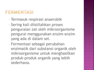 METABOLISME SEL.pptx