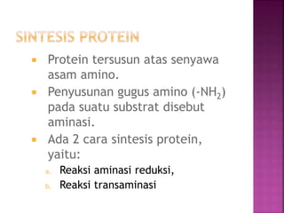 METABOLISME SEL.pptx