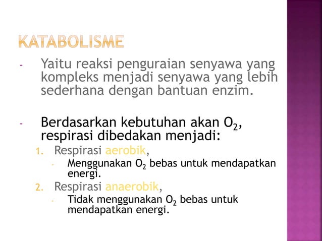METABOLISME SEL.pptx