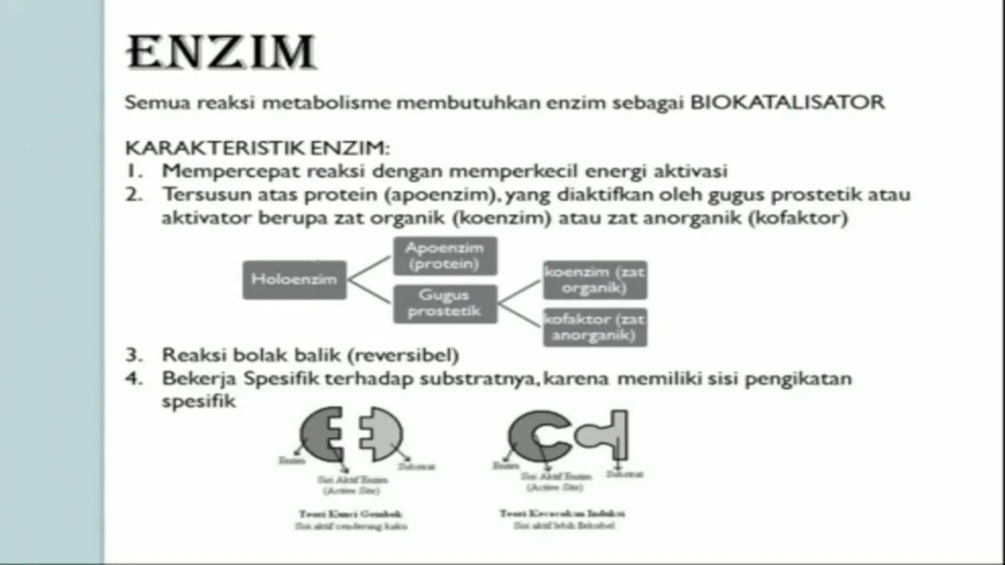 METABOLISME SEL biologi kelas xii- .pptx