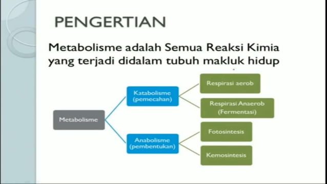 METABOLISME SEL biologi kelas xii- .pptx