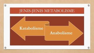 Metabolisme sel kelas 12 | PPTX