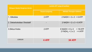 Metabolisme sel kelas 12 | PPTX