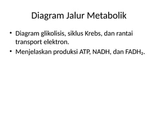 Metabolisme_Sel_SMA_Kelas_12_Dengan_Gambar.pptx