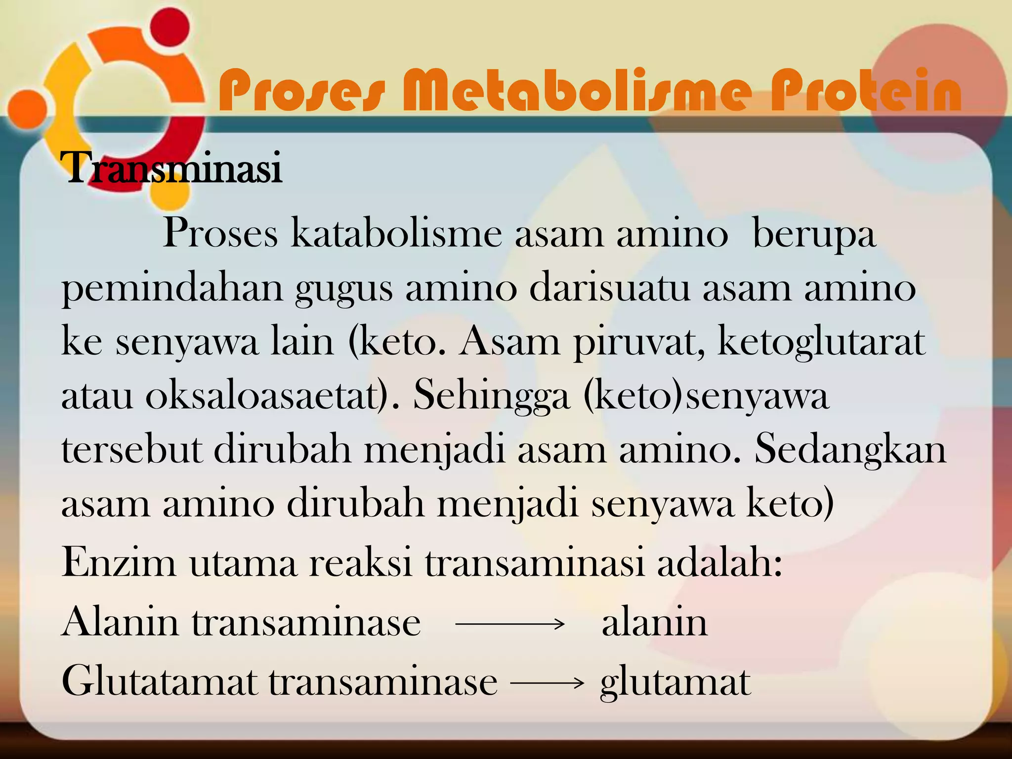 Metabolisme sistem pencernaan makanan | PPTX