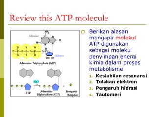 Metabolisme sma Kelas XII | PPTX