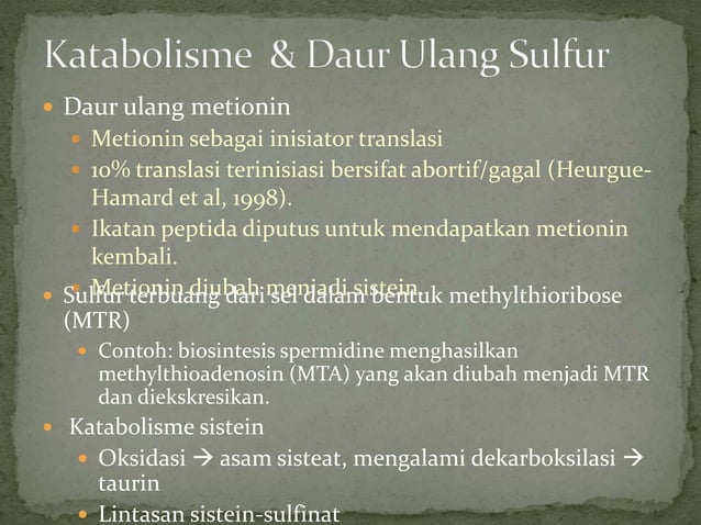 Metabolisme sulfur | PPTX