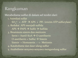 Metabolisme sulfur | PPTX