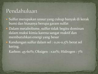 Metabolisme sulfur | PPTX