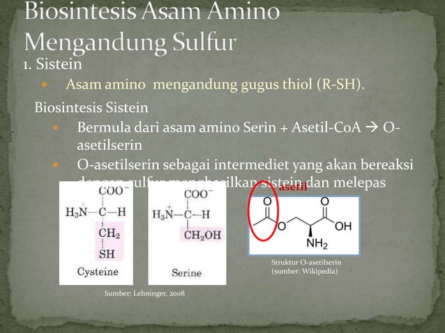 Metabolisme sulfur | PPTX