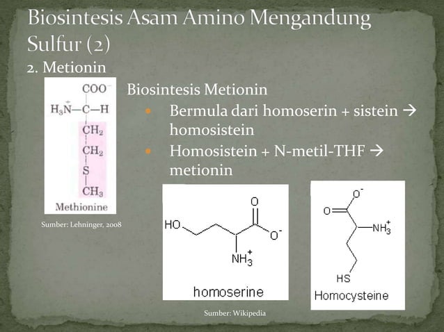 Metabolisme sulfur | PPTX