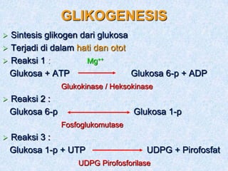 Glikogenesis dan Glikogenolisis | PPTX