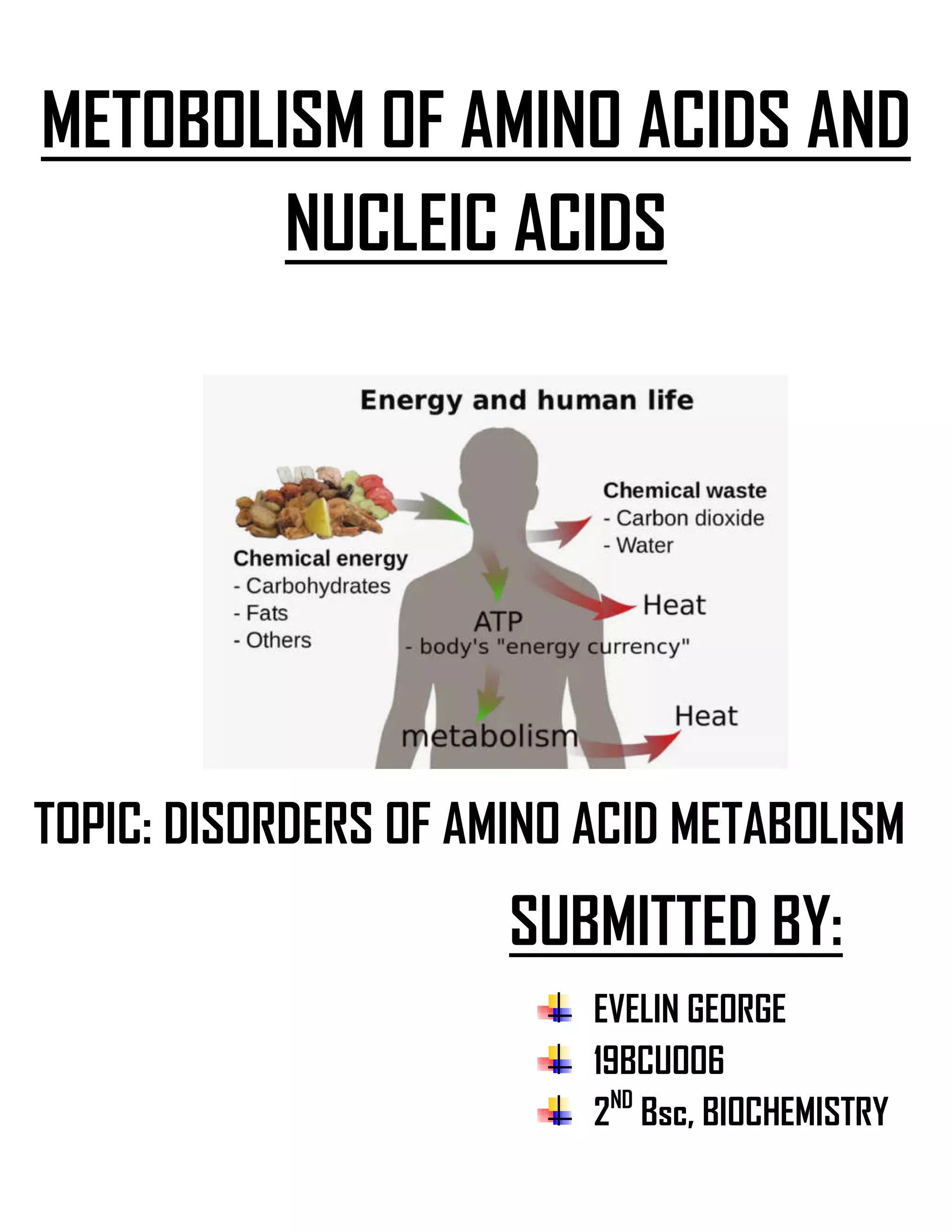 Disorders of amino acid metabolism | PDF