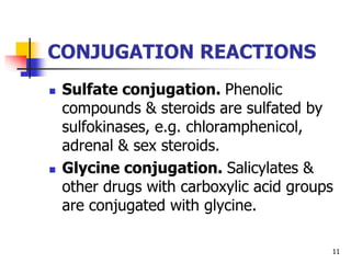 METABOLISM & EXCRETION.ppt
