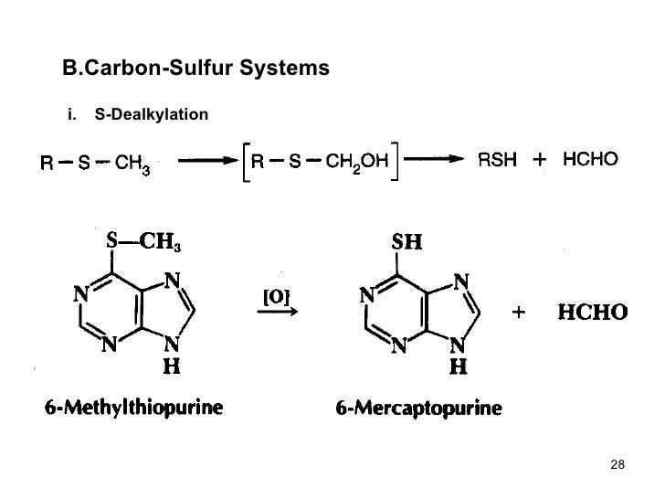 Metabolism final