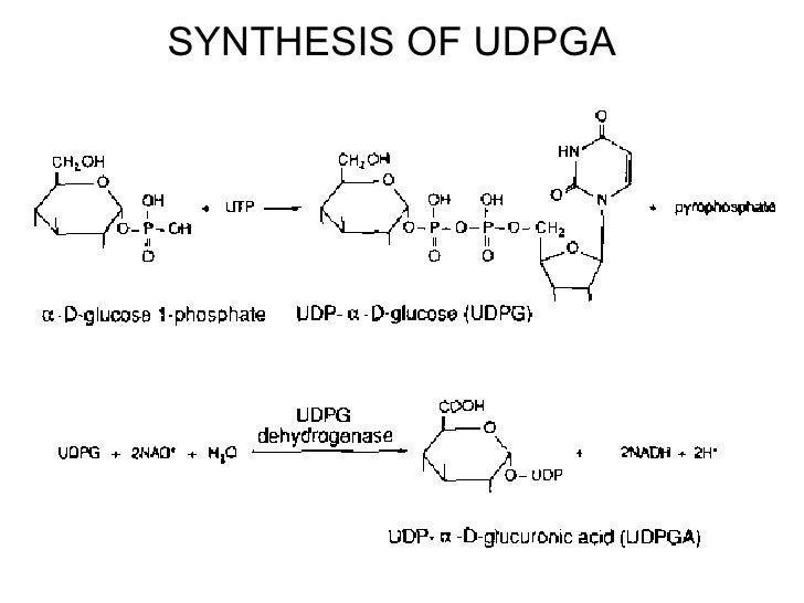 Metabolism final