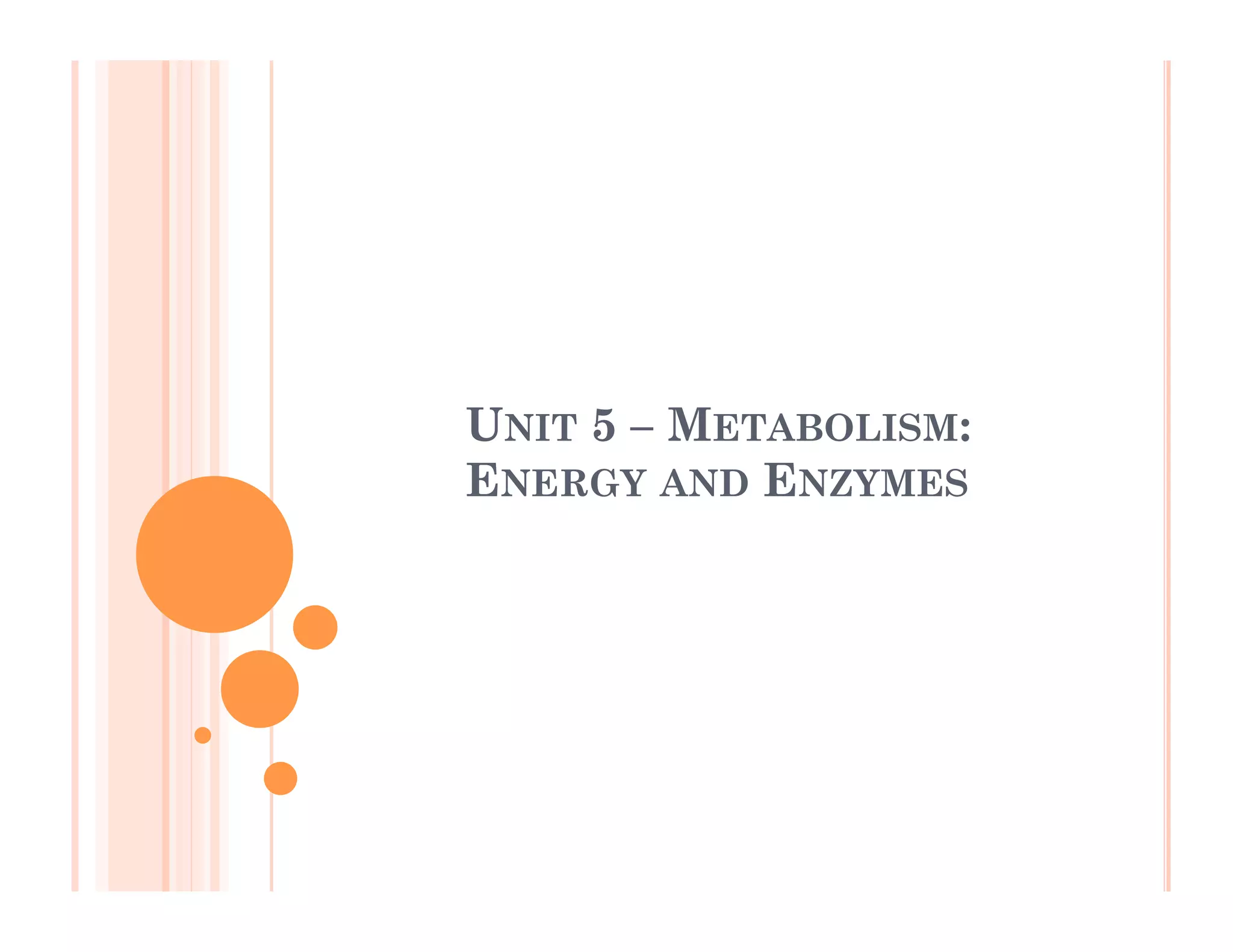 Energy Metabolism and Enzymes | PPT