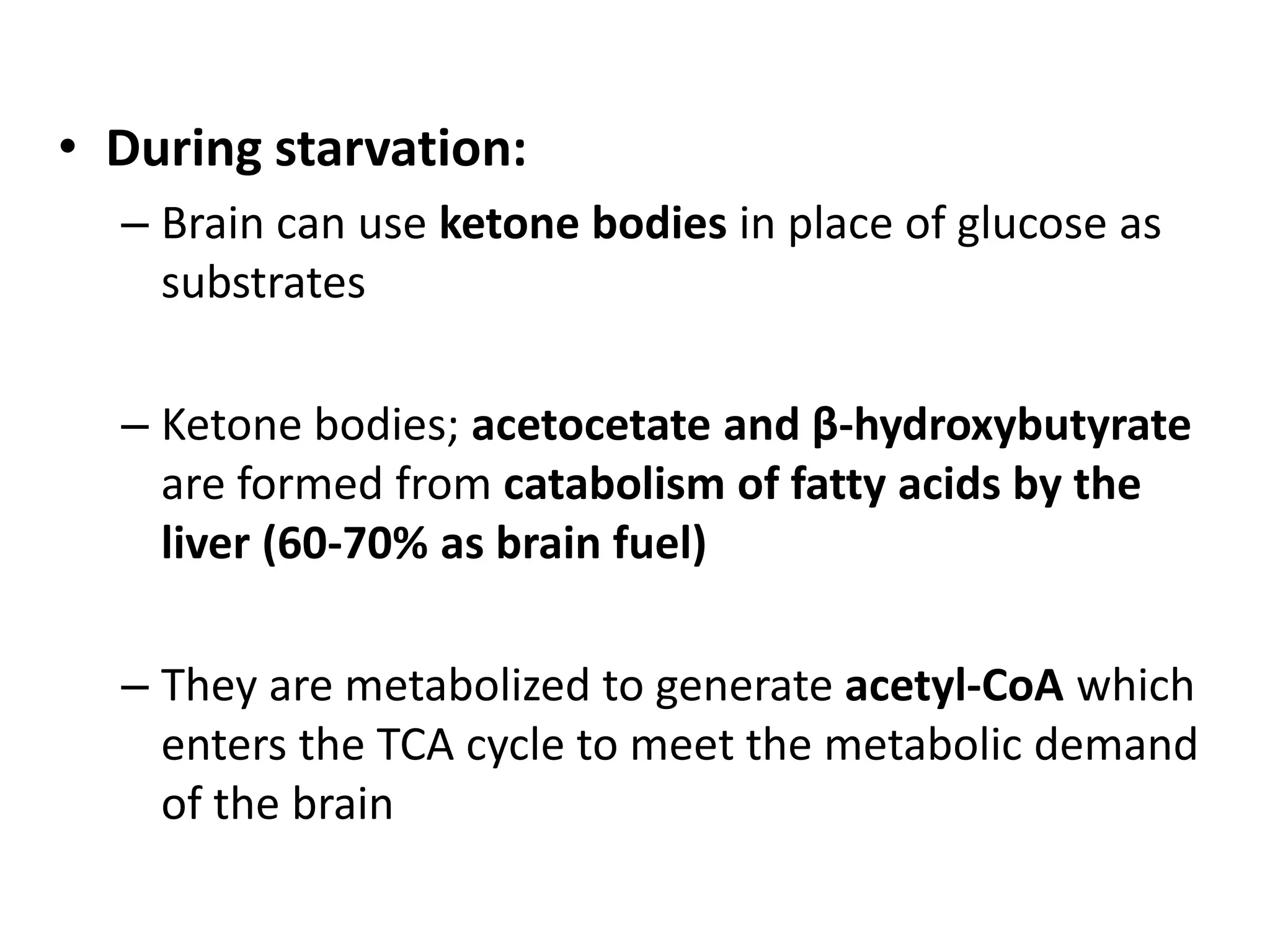 Metabolism in brain nursing | PDF
