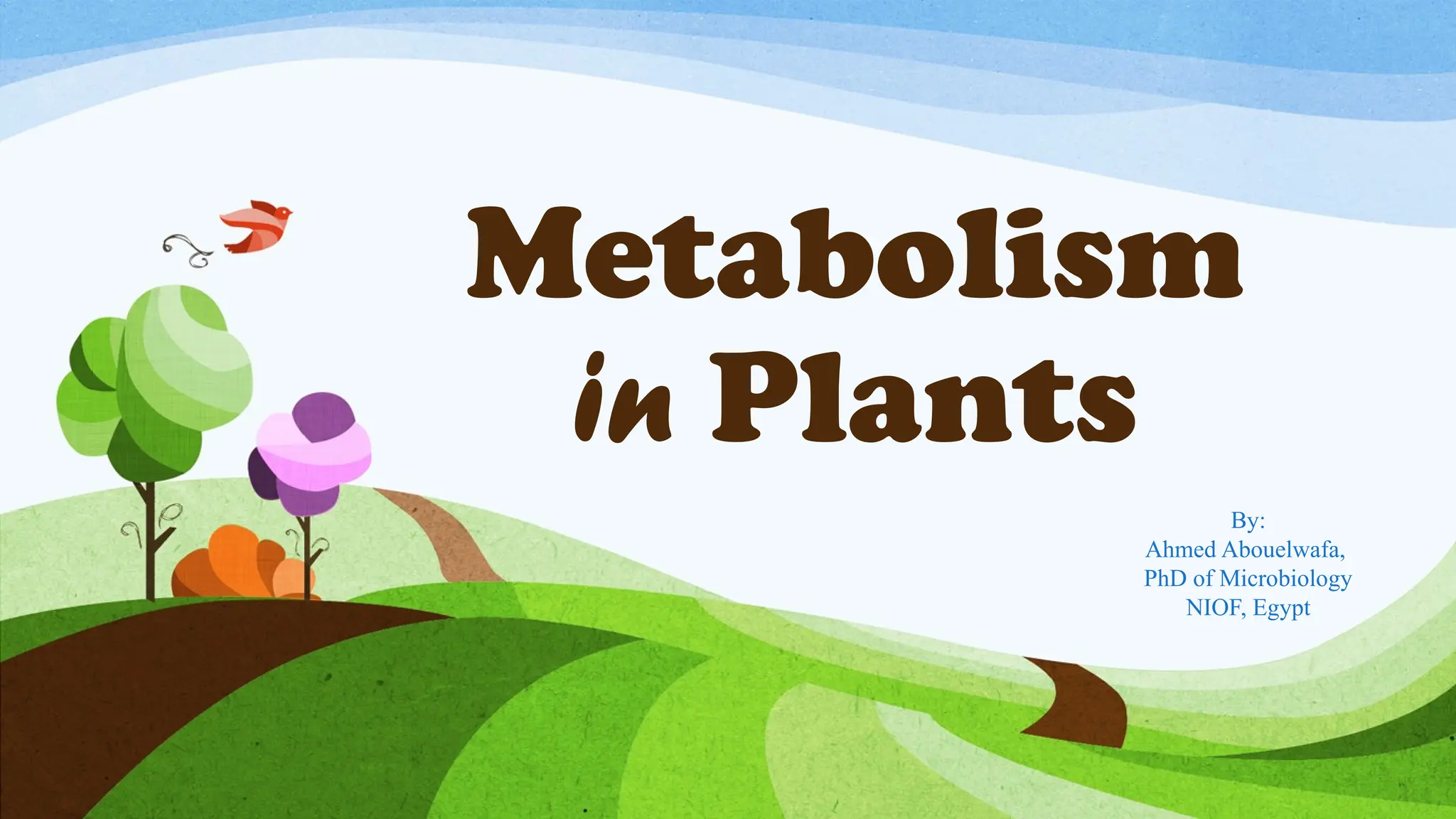 Metabolism in plants an introduction to metabolism.pptx