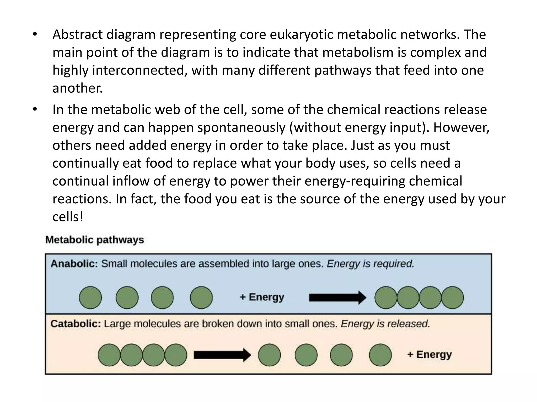Metabolism anabolism & catabolism made easy and simple | PPTX