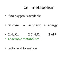 Metabolism anabolism & catabolism made easy and simple | PPTX