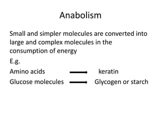 Metabolism anabolism & catabolism made easy and simple | PPTX