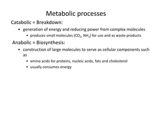 Metabolism anabolism & catabolism made easy and simple | PPTX