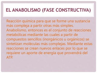 El Metabolismo Celular | PPTX