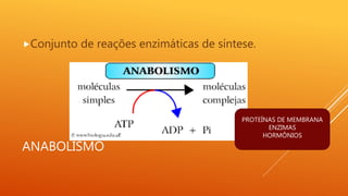 Metabolismo | PPTX