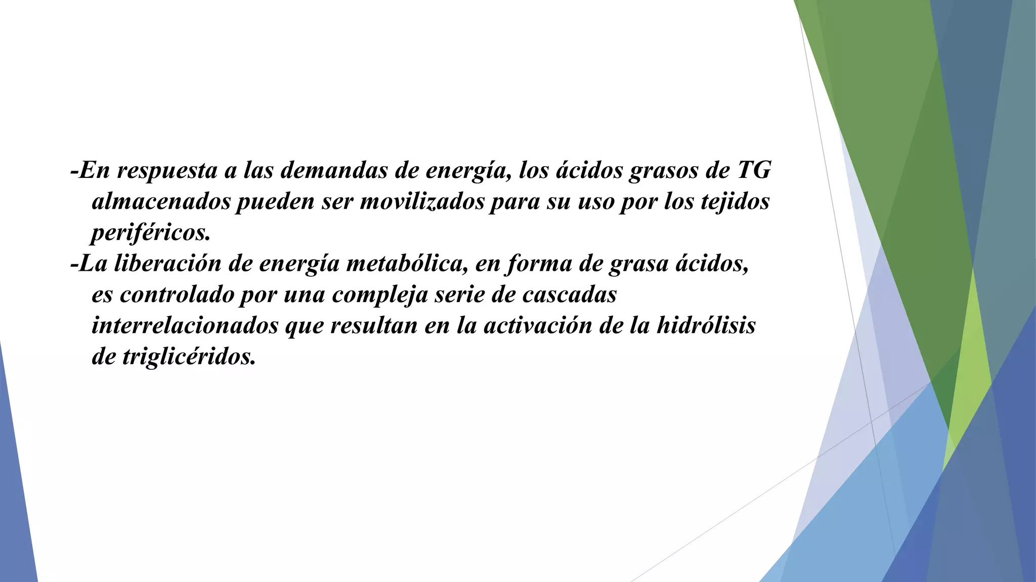 MOVILIZACIÓN DE LAS GRASAS ALMACENADAS Y OXIDACIÓN DE LOS ÁCIDOS GRASOS ...