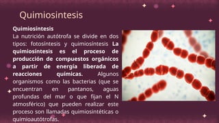 Metabolismo reacciones del cuerpo humano | PPTX