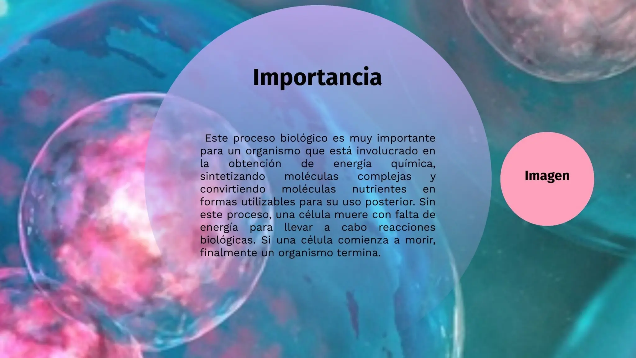 METABOLISMO CELULAR ANABOLISMO Y CATABOLISMO.pptx