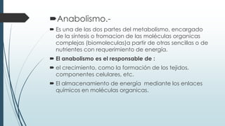 Metabolismo, enzimas Biología I | PPTX