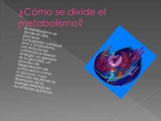 Metabolismo celular | PPTX
