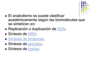 Metabolismo celular | PPT
