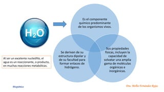 METABOLISMO DE AGUA.pptx
