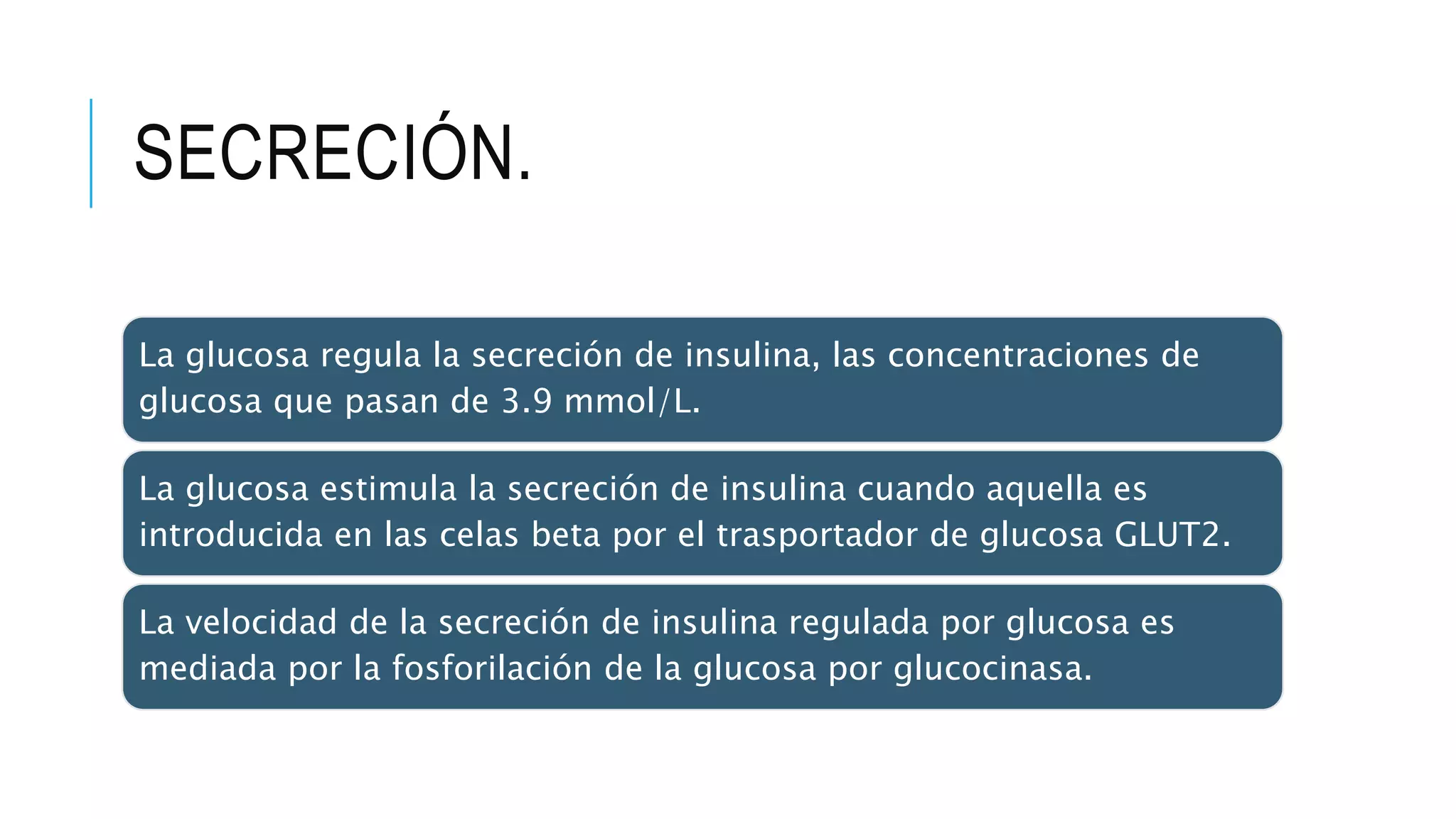 Metabolismo de insulina | PPTX
