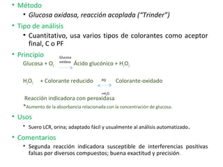 Metabolismo de la glucosa | PPT