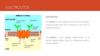 Metabolismo del agua y electrolitos(1).pdf