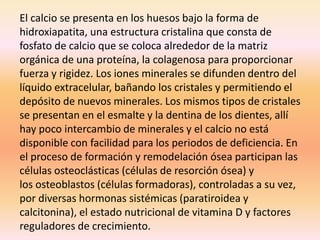 Metabolismo del calcio | PPTX