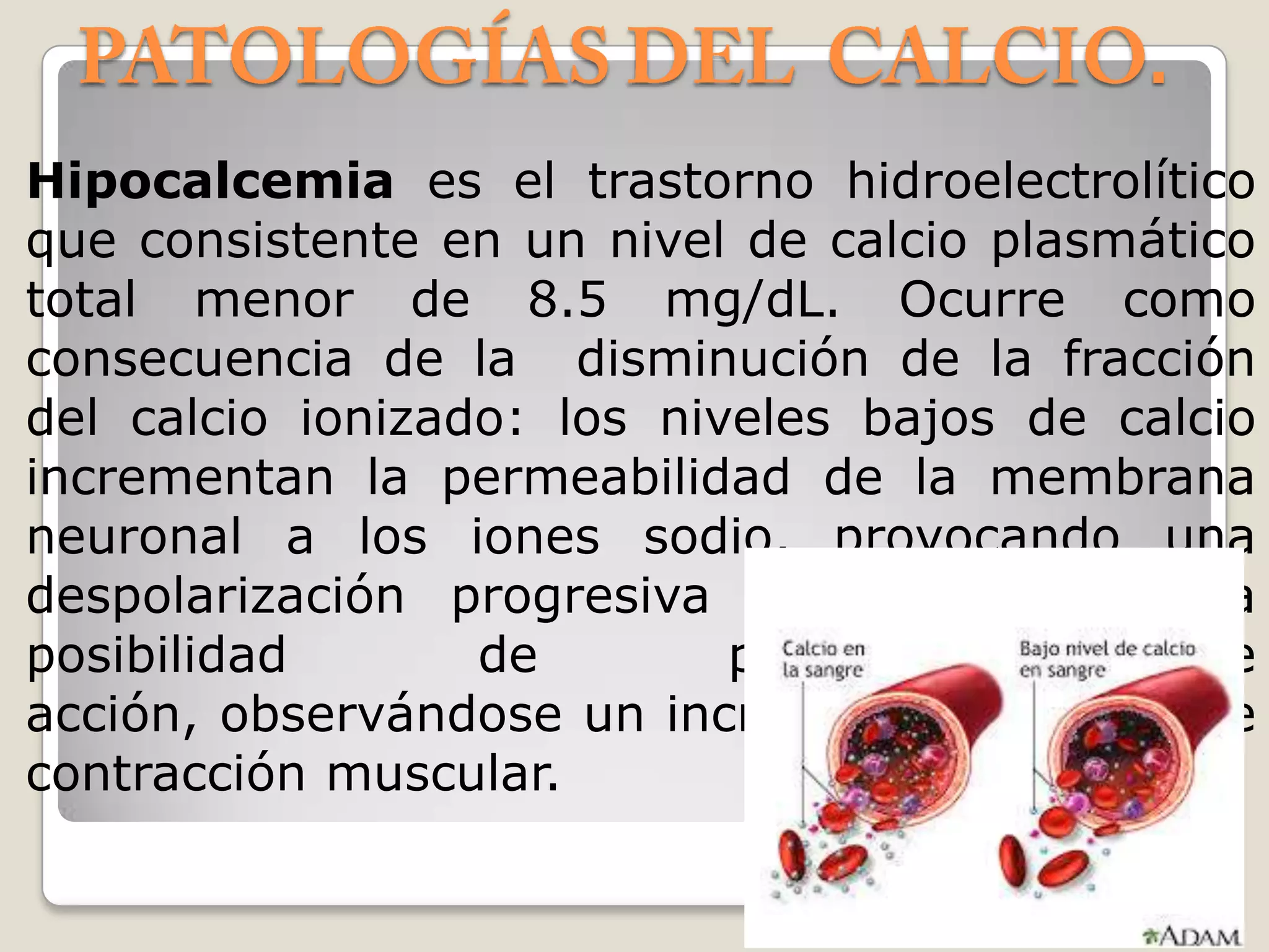 Metabolismo del calcio | PPT
