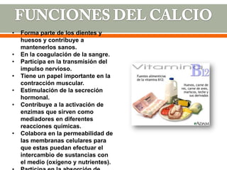 Metabolismo del calcio 4 | PPTX