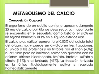 METABOLISMO_DEL_CALCIO_Y_FoSFORO.pptx...................... | PPTX