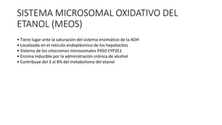 METABOLISMO DEL ETANOL (FERMENTACIÓN ALCOHOLICA) | PPTX