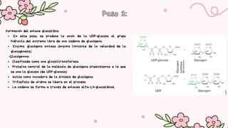Metabolismo del glucógeno EQUIPO 3 .pdf