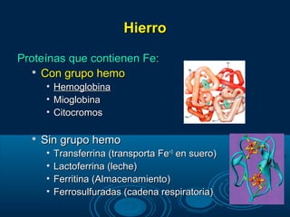 Metabolismo del hierro y del grupo hemo | PPT