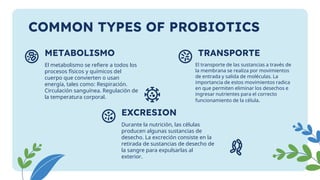 metabolismo de los nutrientes en enfermería.pptx