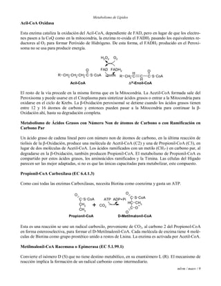 Metabolismo de los Lípidos. | PDF