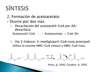 Metabolismo de lípidos cetogenesis y triglicéridos | PPTX